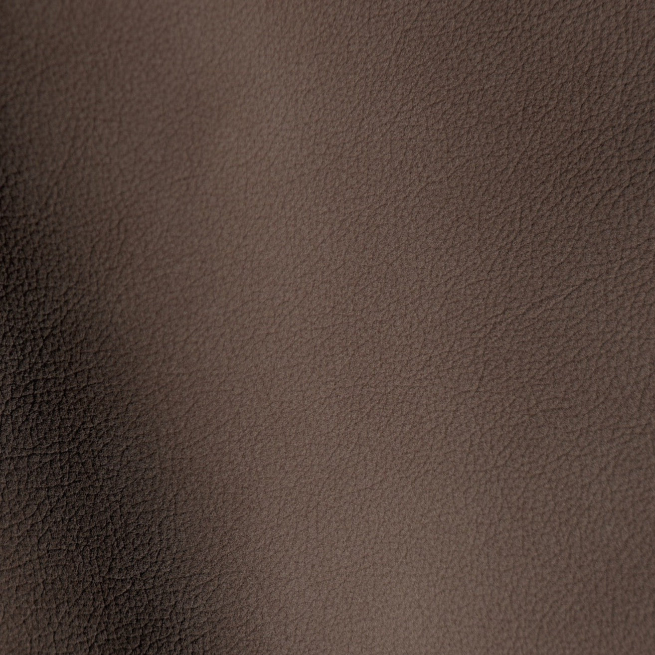 Origins – Leather Envy, Inc